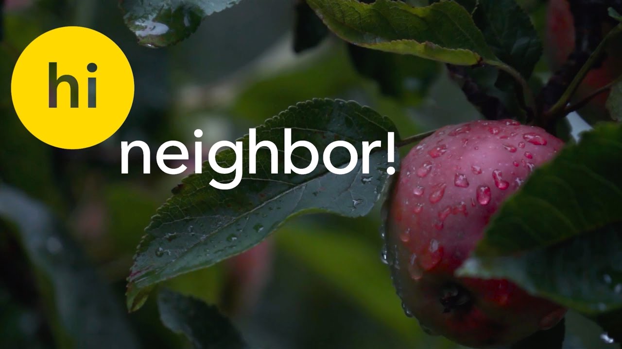 Hi, Neighbor! | Season 2 Episode 8 - YouTube