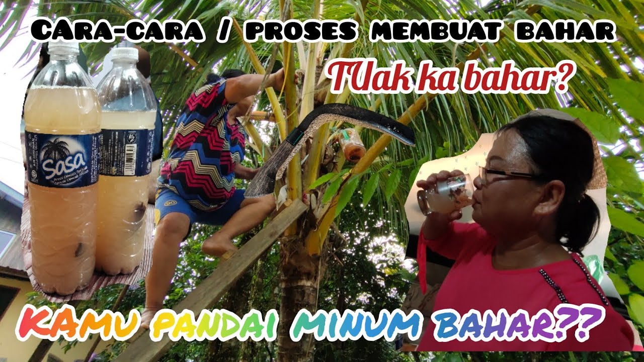 Minuman orang kampung |Tutorial minum bahar - YouTube