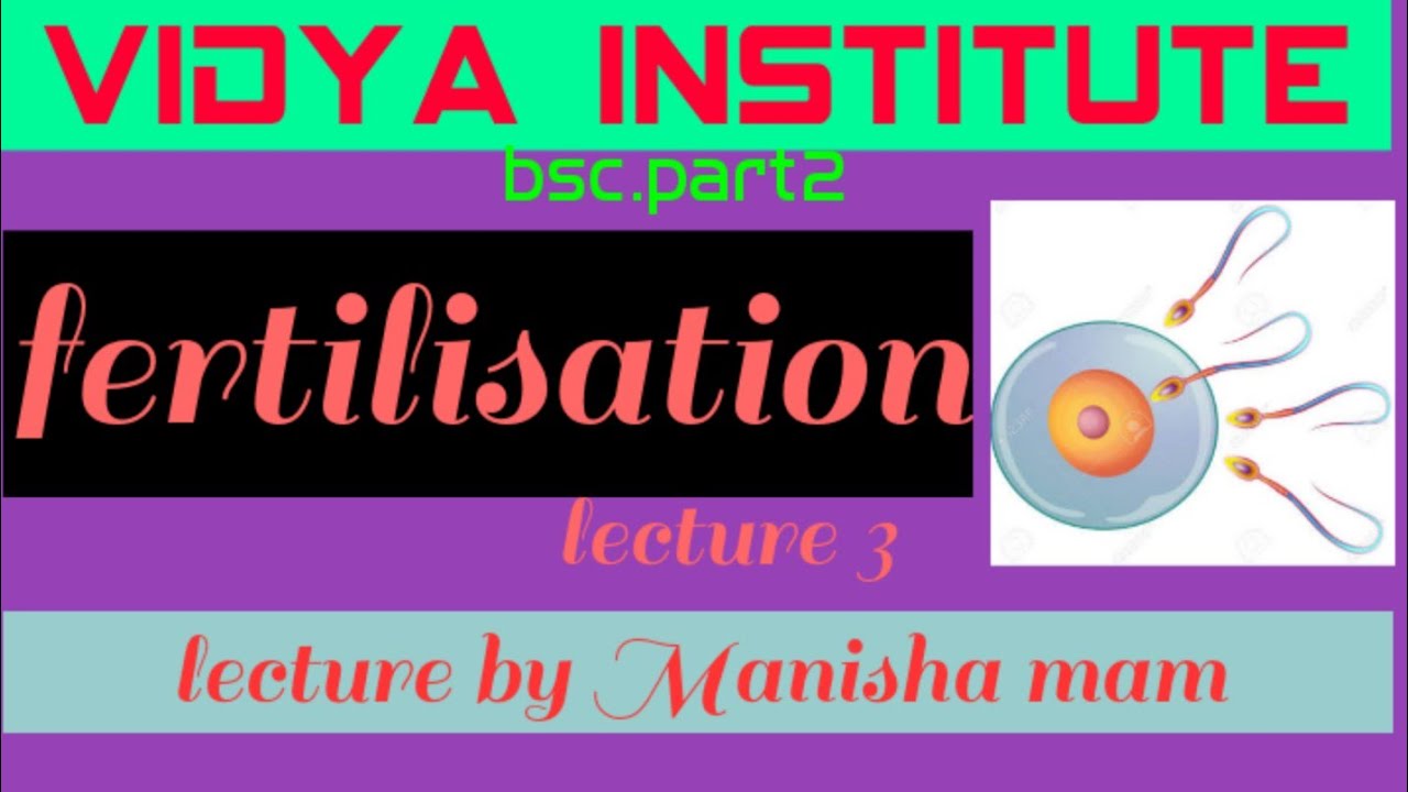 Fertilisation Lecture By Manisha Mam YouTube fertilisation-lecture-by-manisha-mam-youtube