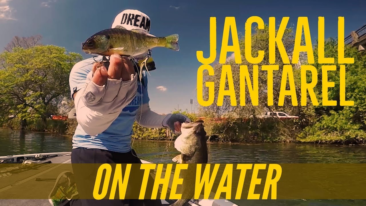 Fishing the Jackall Gantarel Swimbait in Texas - Cast to Catch - YouTube