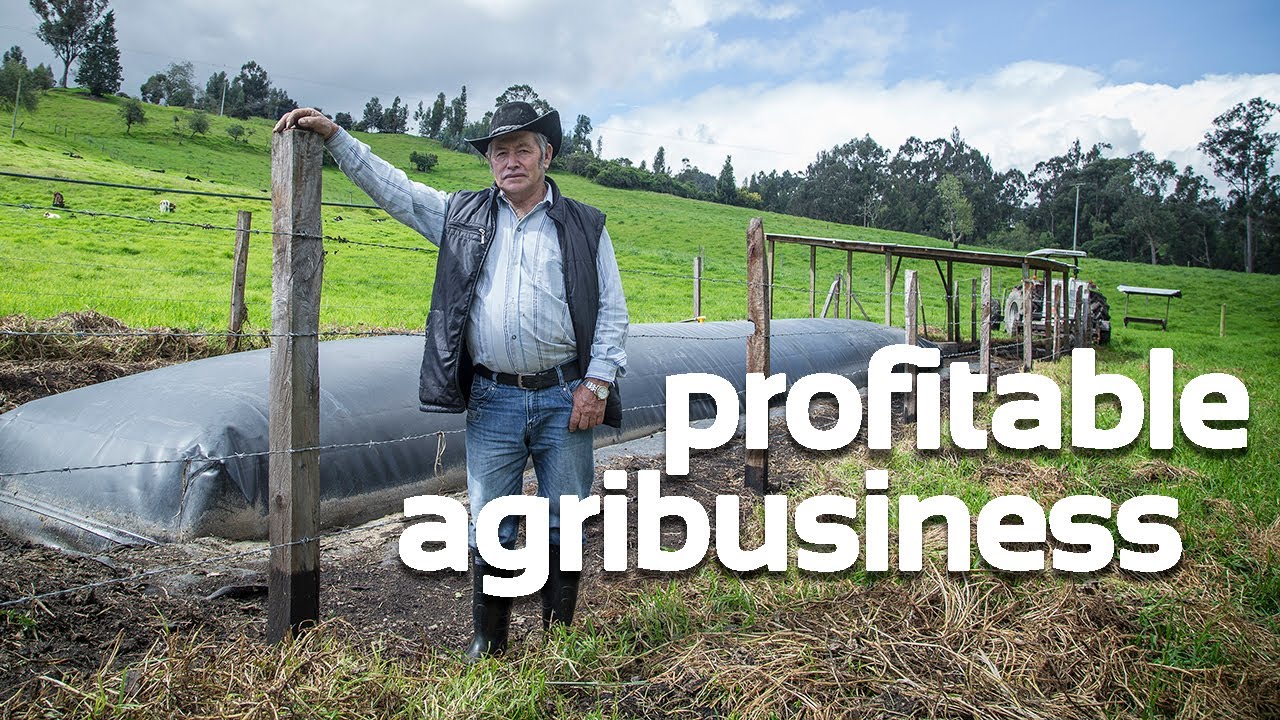 Sustainable and profitable farms with Sistema.bio biodigesters - YouTube