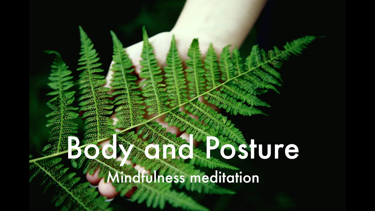 Mindfulness Body and Posture Meditation - 18 minutes - YouTube