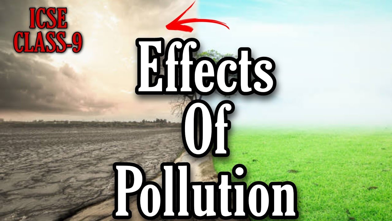Effects Of Pollution Air Water Soil Pollution ICSE CLASS 9 BY effects-of-pollution-air-water-soil-pollution-icse-class-9-by