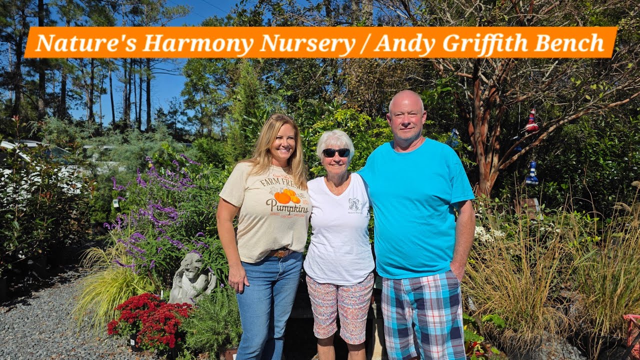 Nature's Harmony Nursery/"Andy Griffith Bench" - Mann's Harbor, NC ...