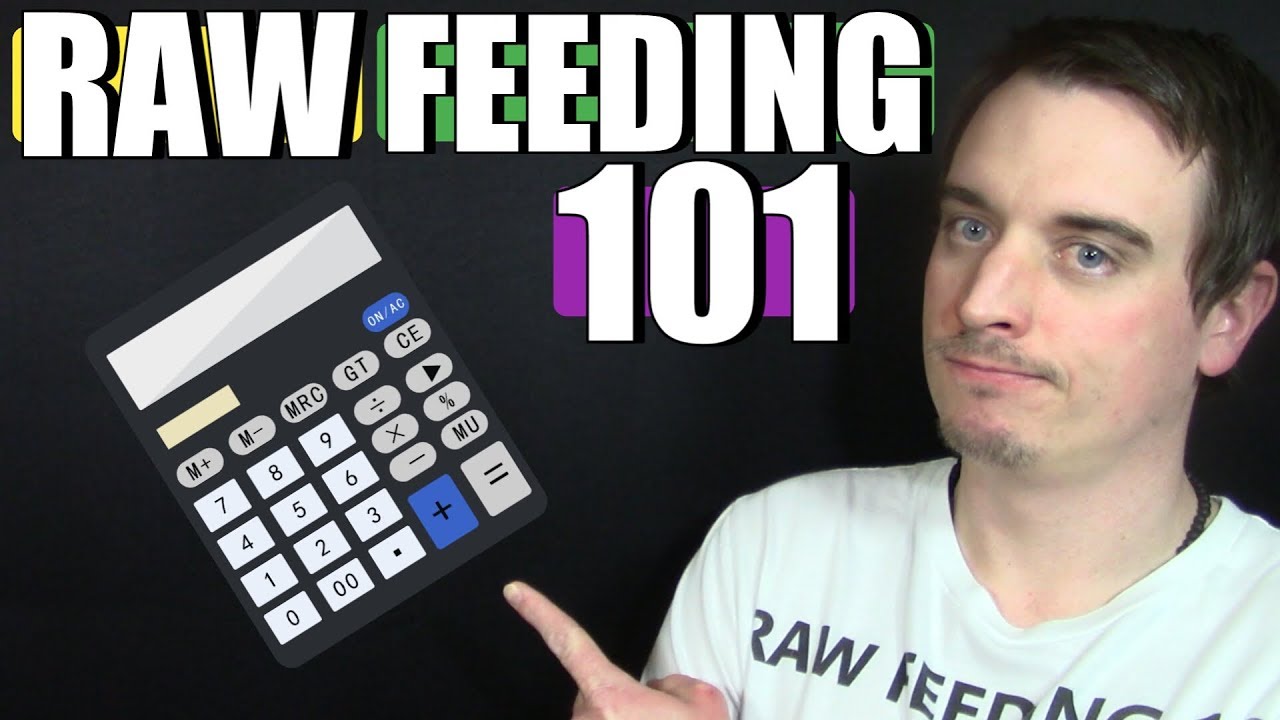 FREE Raw Feeding Calculator YouTube free-raw-feeding-calculator-youtube