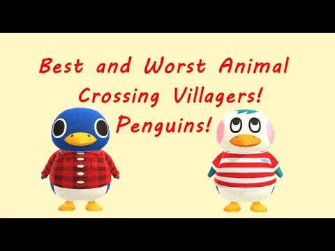The Best and Worst Penguin villagers in Animal Crossing - YouTube
