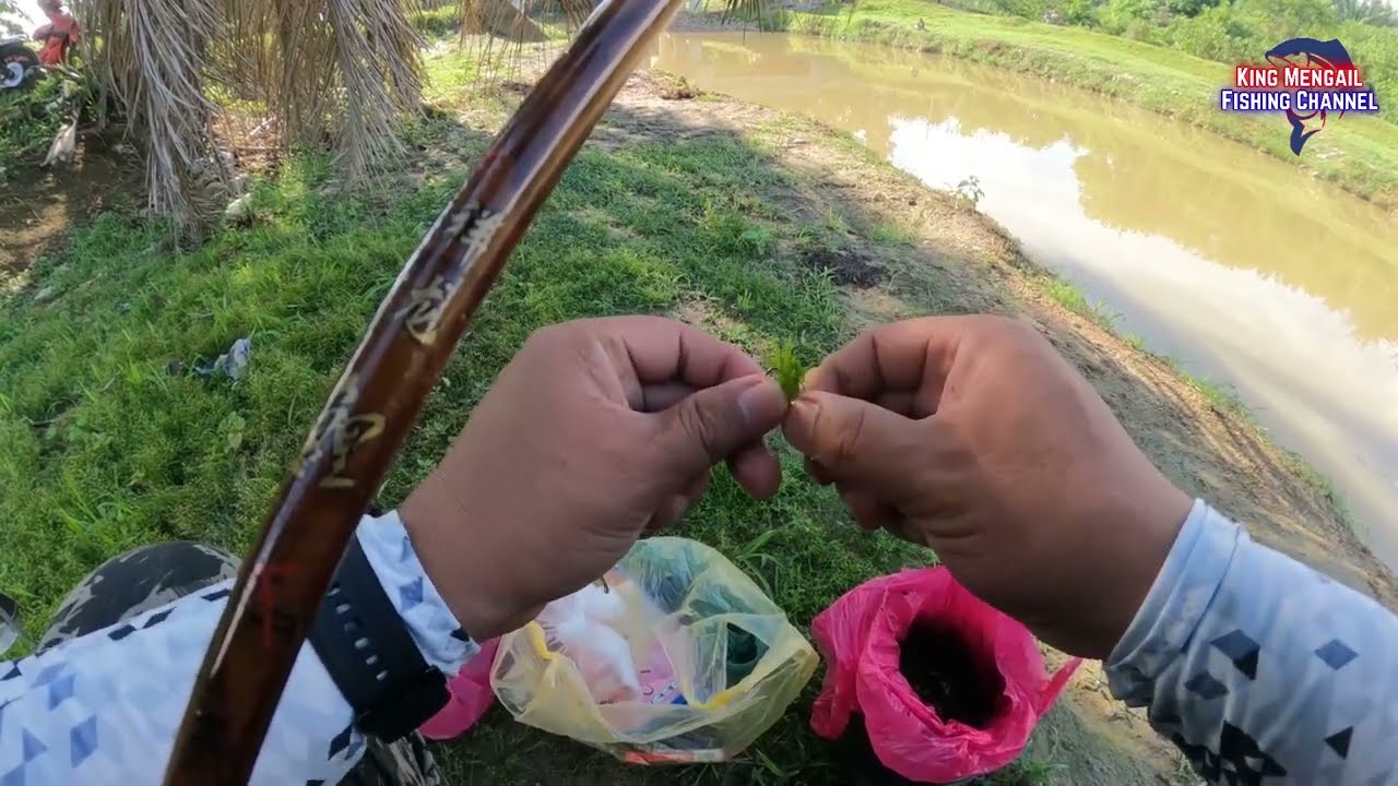 Disini Lubuk Ikan Besar-Besar Bas - YouTube