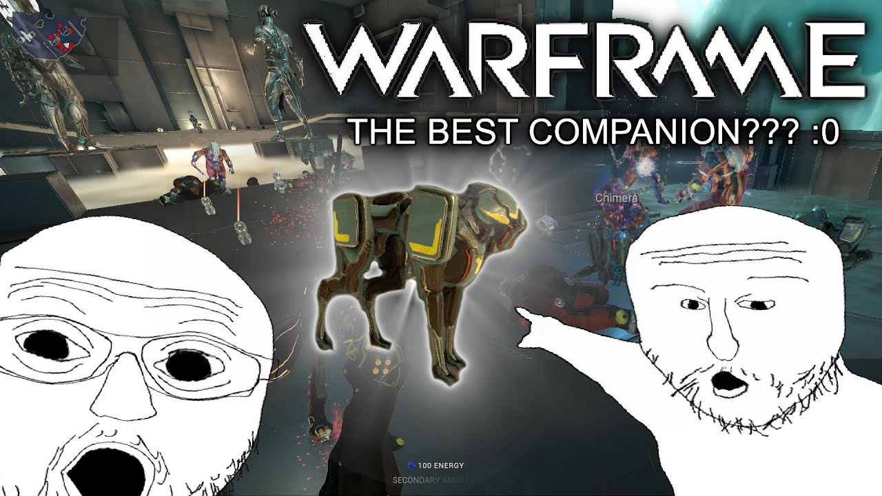 Warframe Companion Meta, Robo dog - YouTube