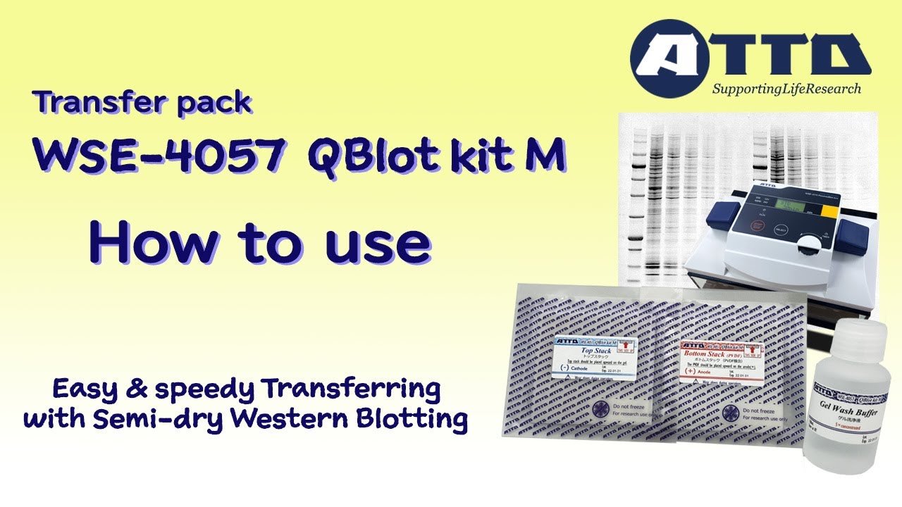 How to use QBlot kit M - YouTube