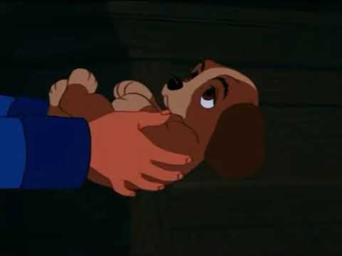 Lady and the Tramp (1955) - Beginning 