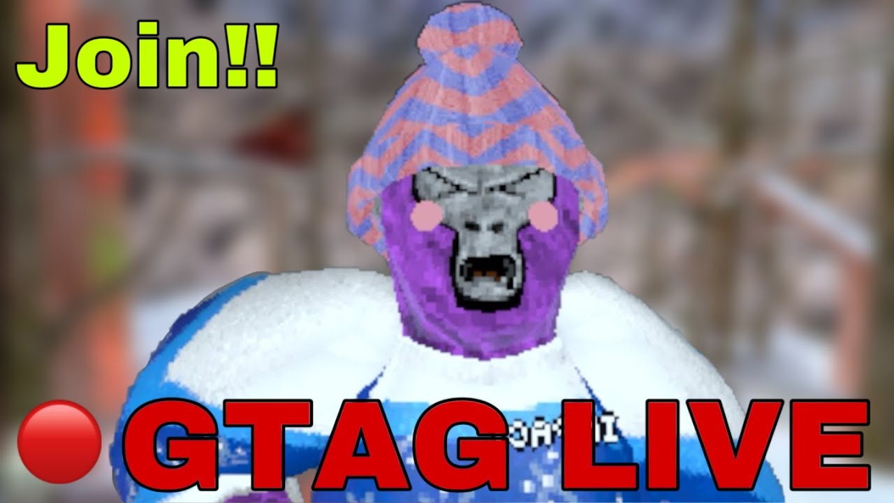 GTAG LIVE WITH VIEWERS - YouTube