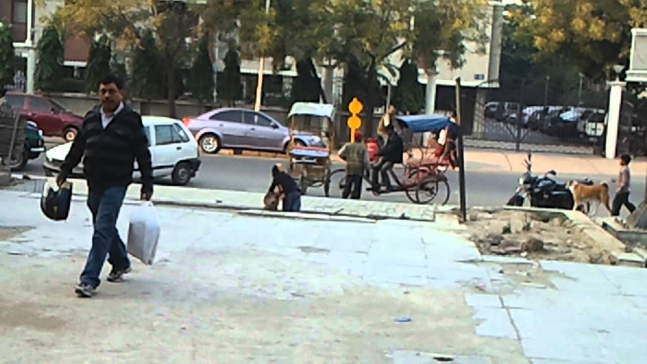 Kid, Dog Back Riding! Hilarious! - YouTube