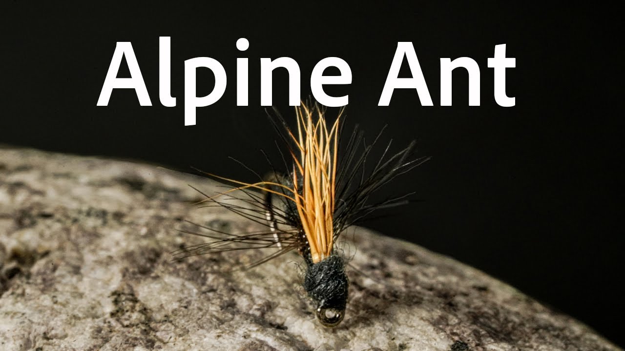 How to tie the Alpine Ant | Fly Tying Tutorial - YouTube