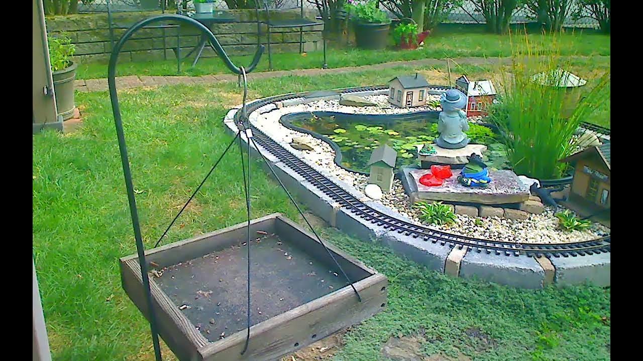 tec pond 07-12-24 - YouTube