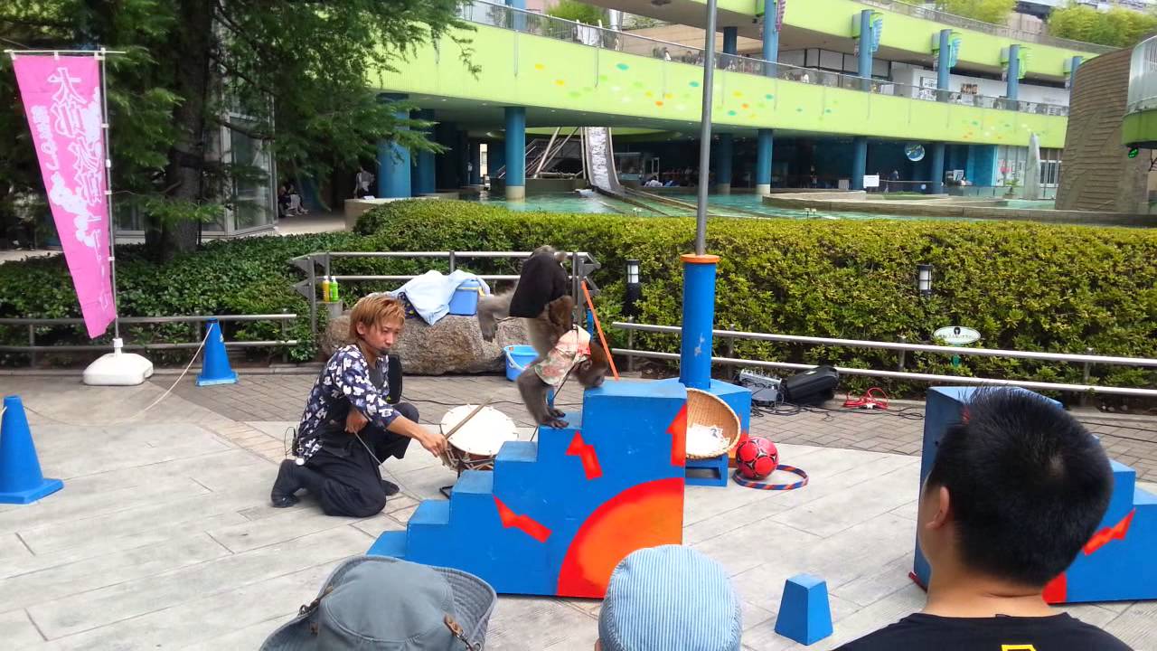 Street performer with monkey in Tokyo - YouTube