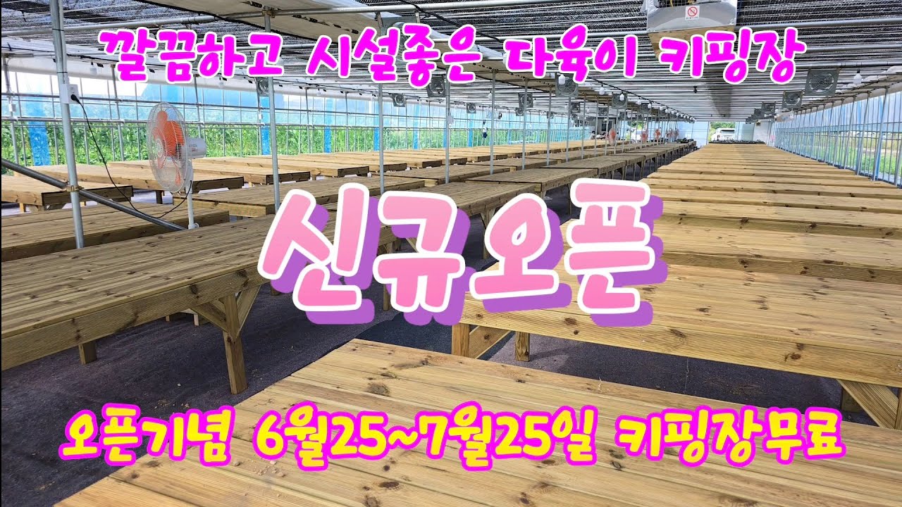 Ic근처 새로 오픈한 환기 잘돼는 키핑장 오픈기념 무료이용도 경험해 보세요 키핑장 환기시설 신규오픈 코리아다육 달콤한