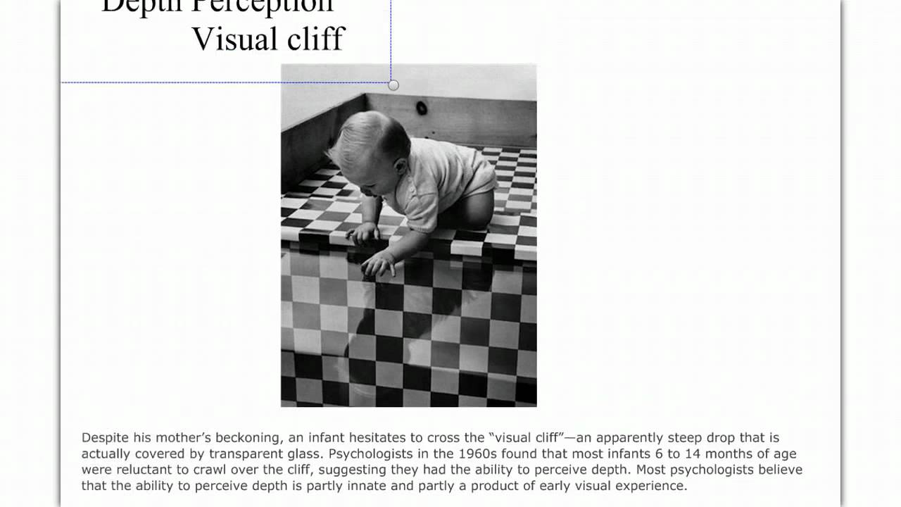 Introduction to Perception- Part 1 - YouTube