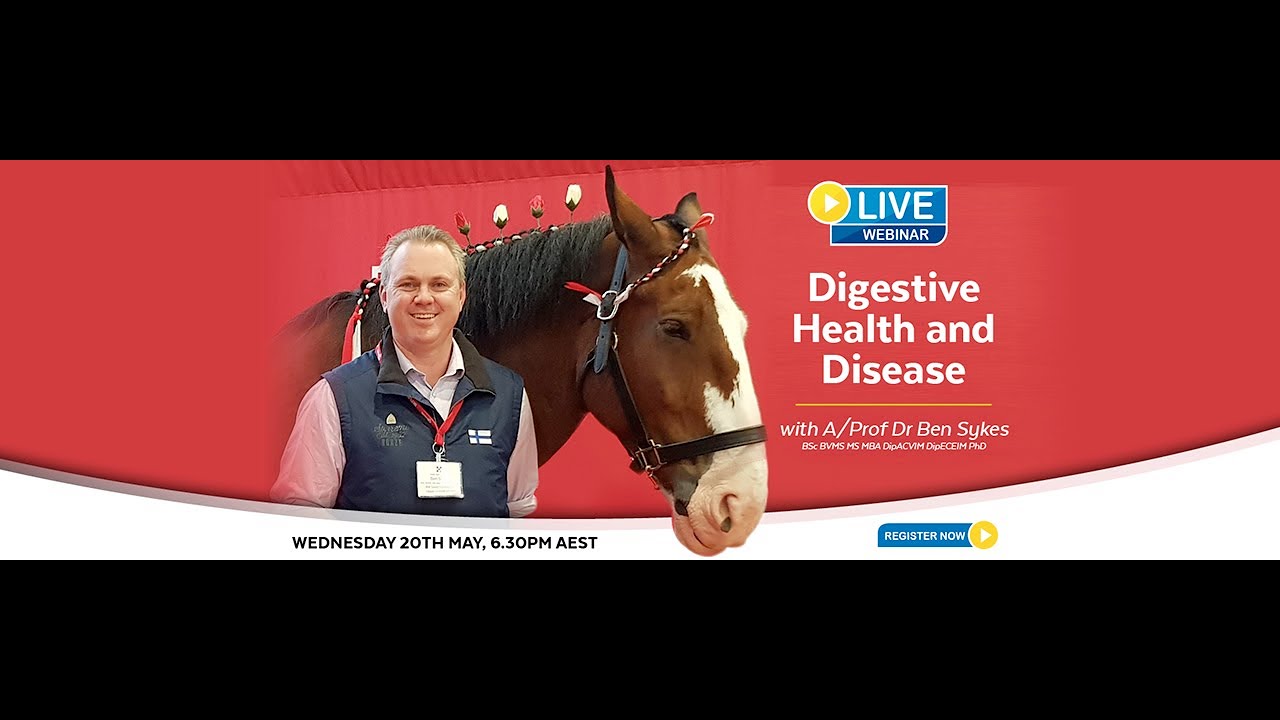 EGUS Treatment Prevention & Management with A/Prof Dr Ben Sykes. - YouTube