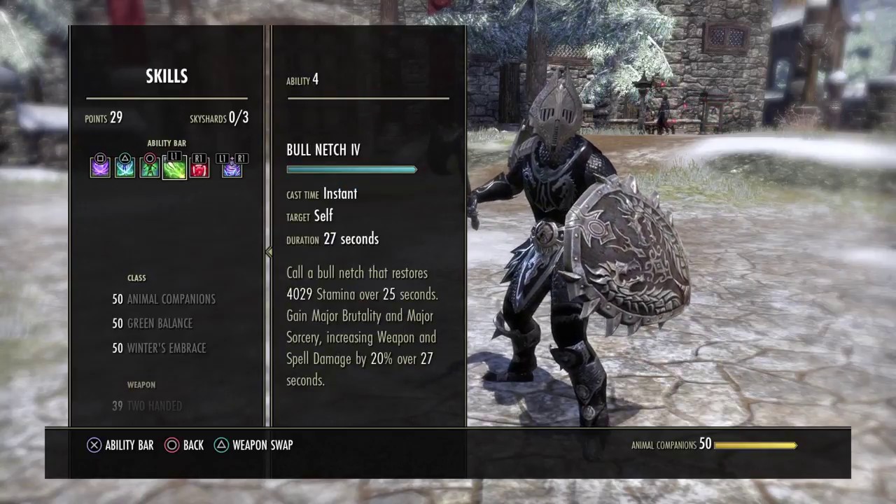 Warden Tank PvP Build: The Polar Shift - YouTube