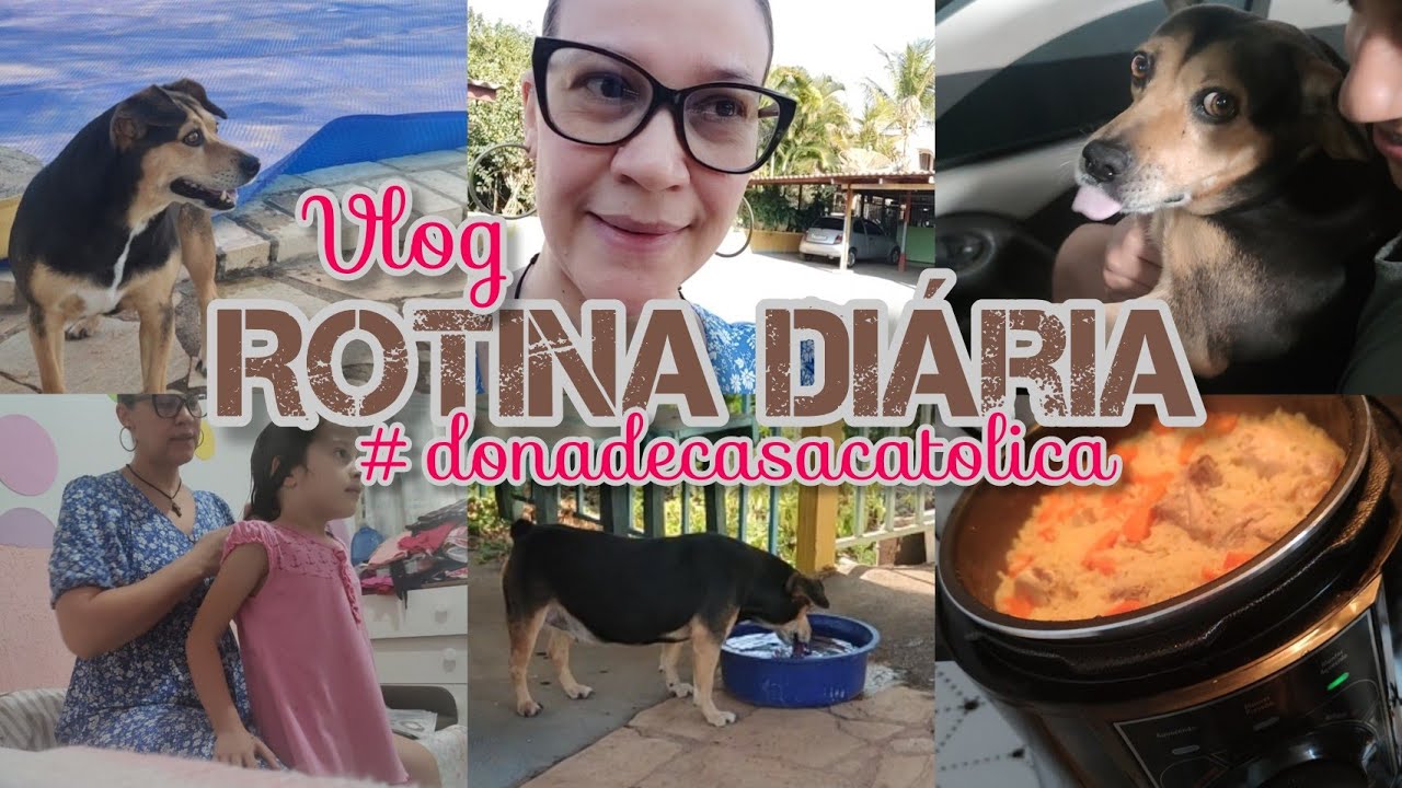 NINA JÁ ESTÁ NO NOVO LAR 🏡 SUA PRIMEIRA IMPRESSÃO DO AMBIENTE 😅 ESTER E ...