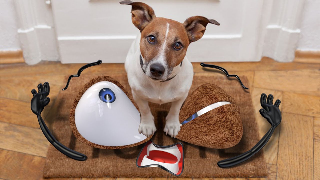 Secret Life of Things - Real Life Doodles Compilation | 3D Doodland #7 ...