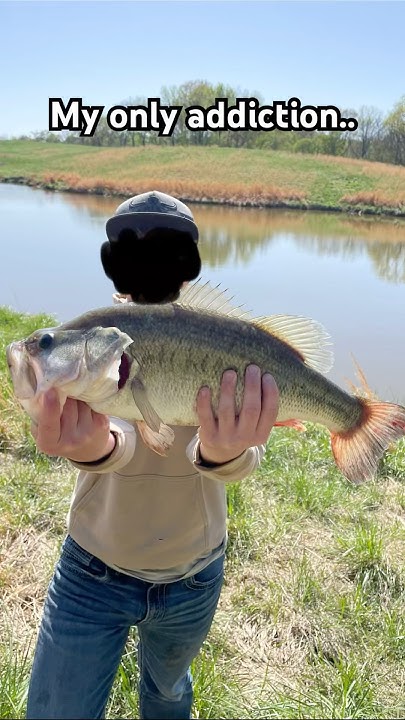 My ONLY addiction..🎣 #fishing #bassfishing #fish #bass #shorts #fyp - YouTube