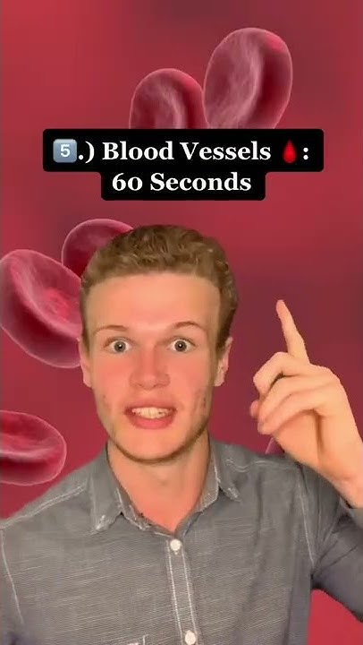 How long could you survive without these organs? Tiktok leonsweeting #shorts #body #health #life ...