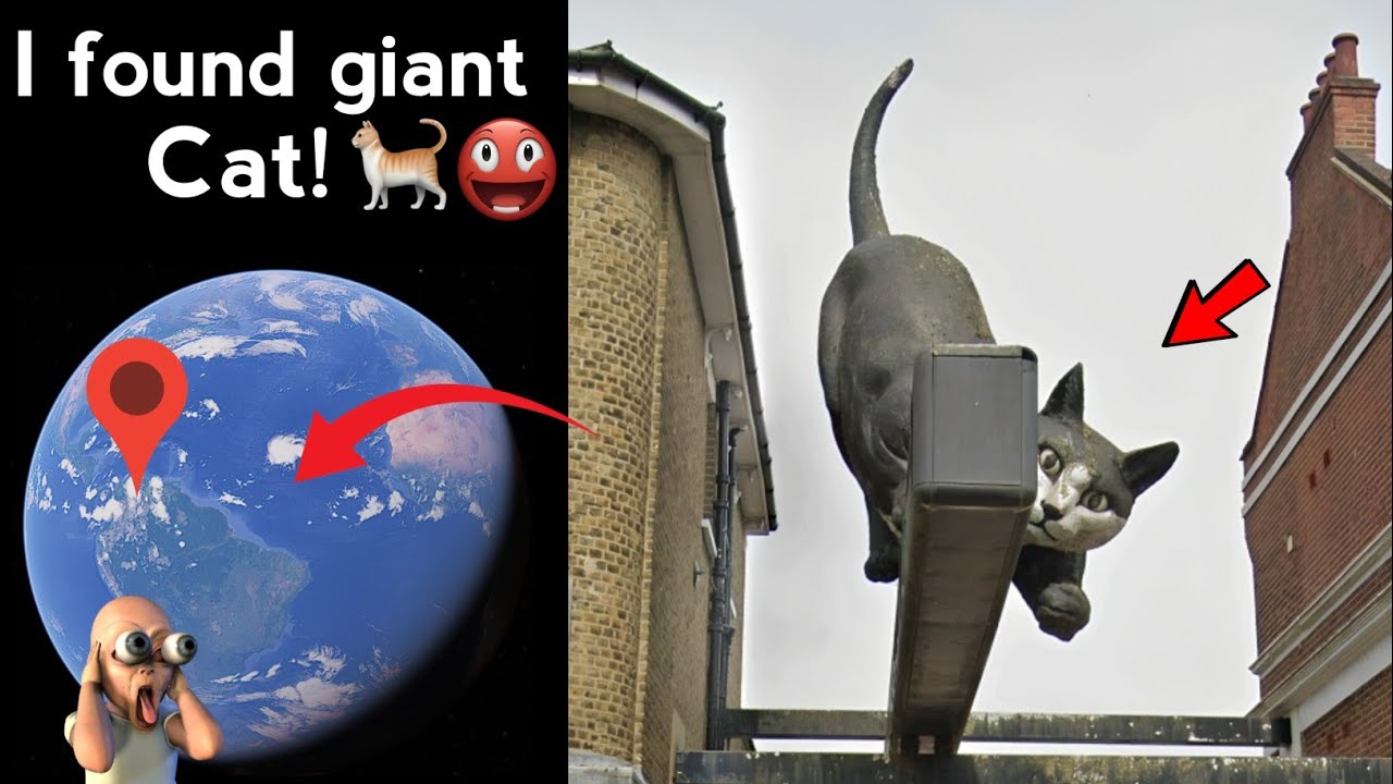 I Found Giant Cat 🙀 On The Building On Google Earth And Maps! 📍🌎 - YouTube
