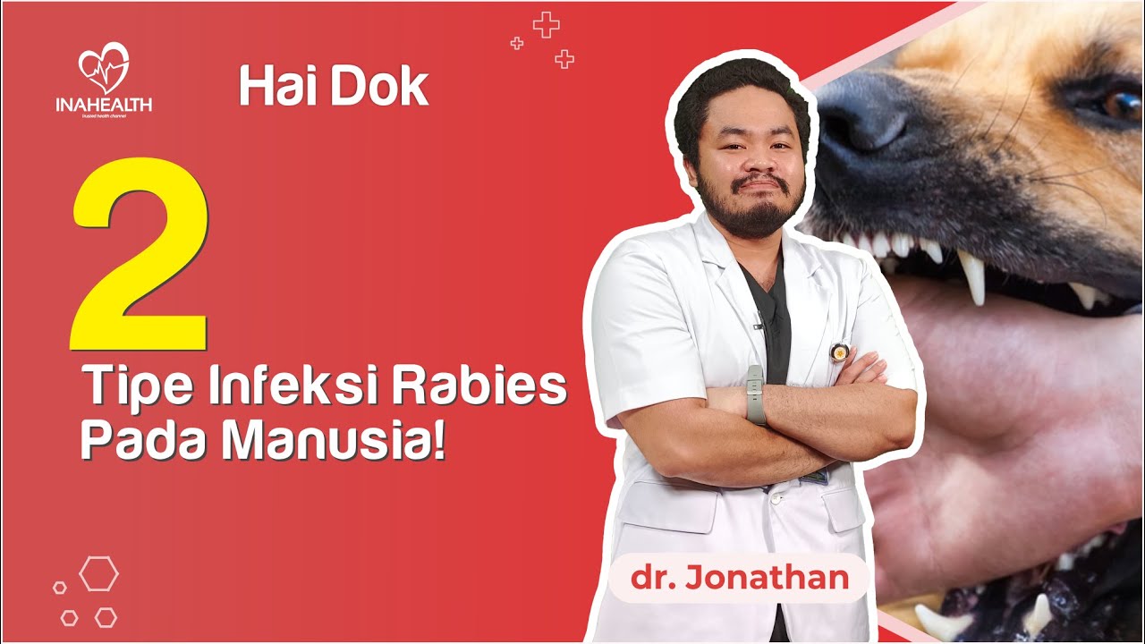 Bagaimana sih tanda-tanda penyakit rabies itu? Hai Dok - YouTube