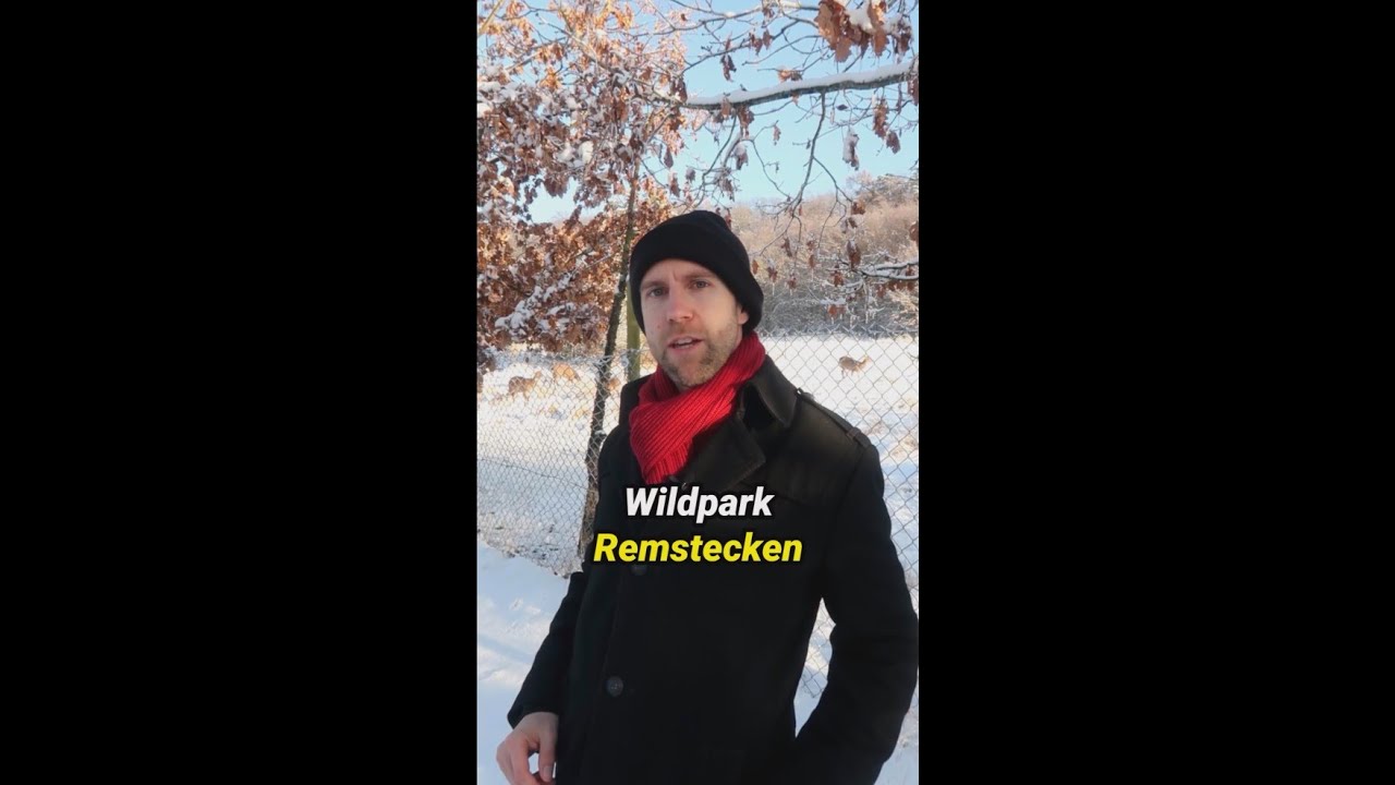 Der Wildpark Remstecken im Koblenzer Stadtwald #koblenzhistory #koblenz ...