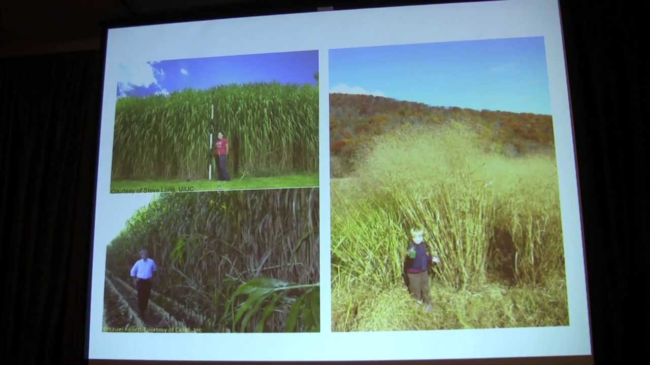 Sam Hazen at the 2013 Genomics of Energy & Environment Meeting - YouTube