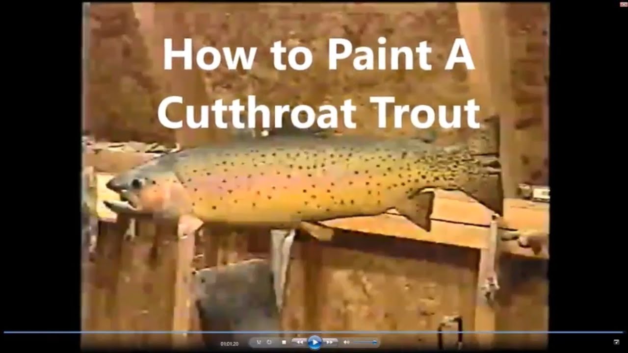 Cutthroat Trout Painting for Taxidermy - YouTube