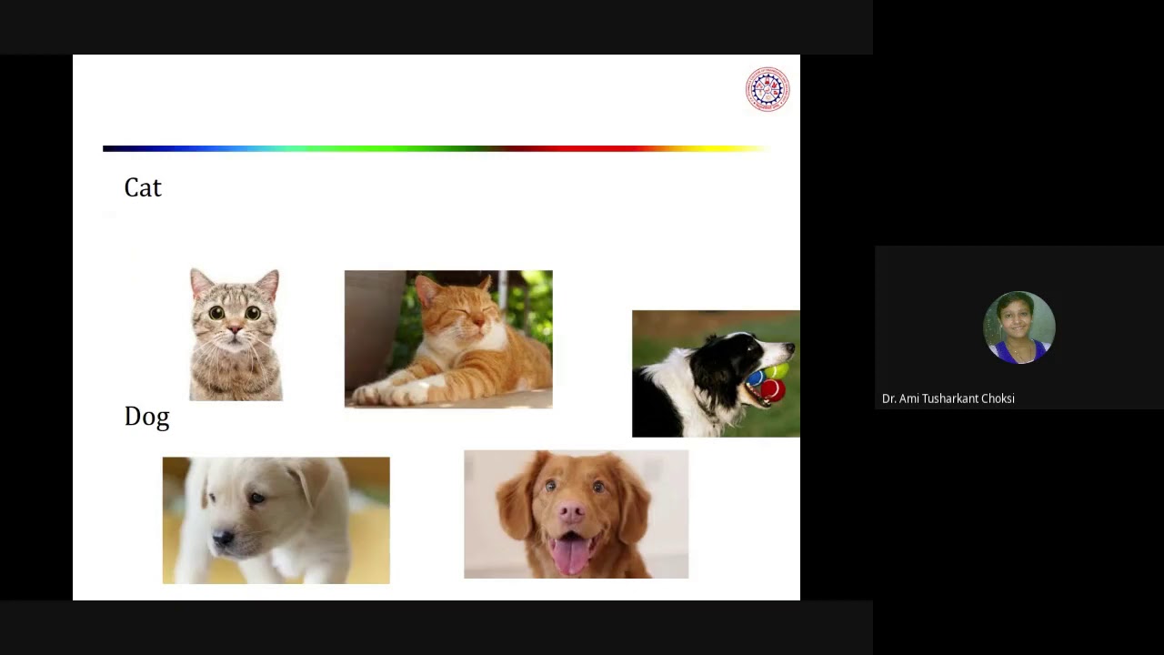Data Mining Functionalities DM Lecture2 - YouTube