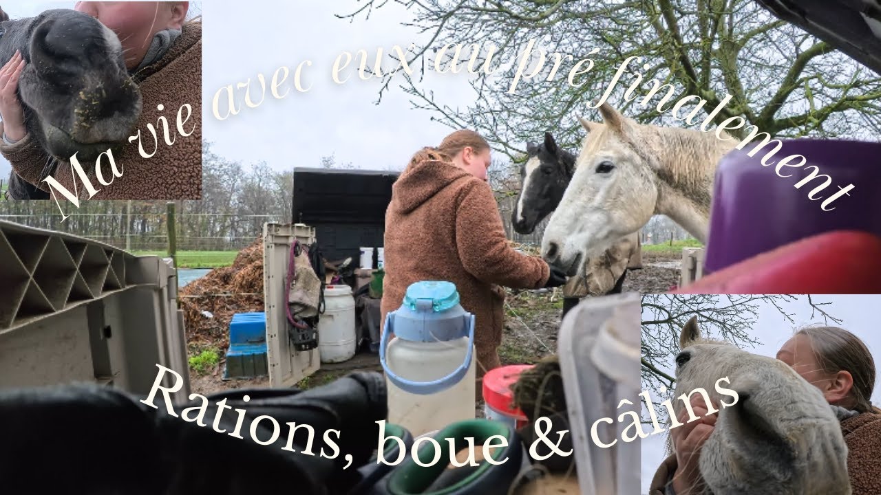 La vraie routine au pré: de la boue, de la pluie et une caméra pas très ...