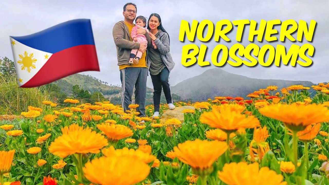Northern Blossom Flower Farm / Atok, Benguet, Philippines - YouTube