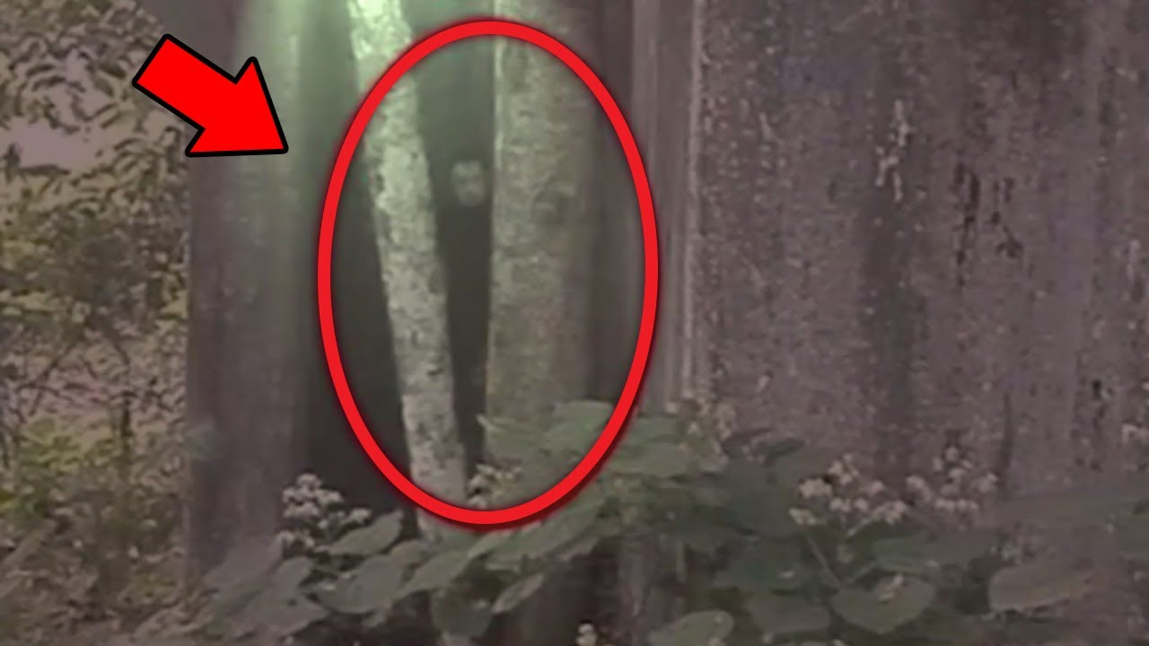 The Brown Lady's Ghost, Raynham Hall, Norfolk England - YouTube