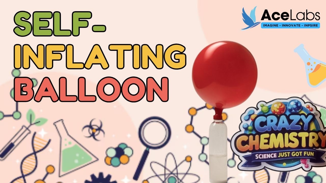 Self inflating balloon| Best Science Activity| Simple Science ...
