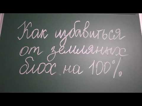 Как избавиться от земляных блох на 100 процентов. 27 июля 2021 г. - YouTube