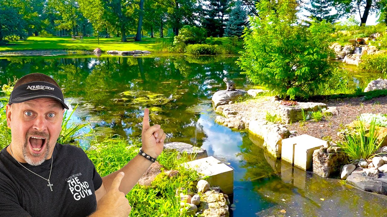 Amazing *FARM POND* Renovation - YouTube