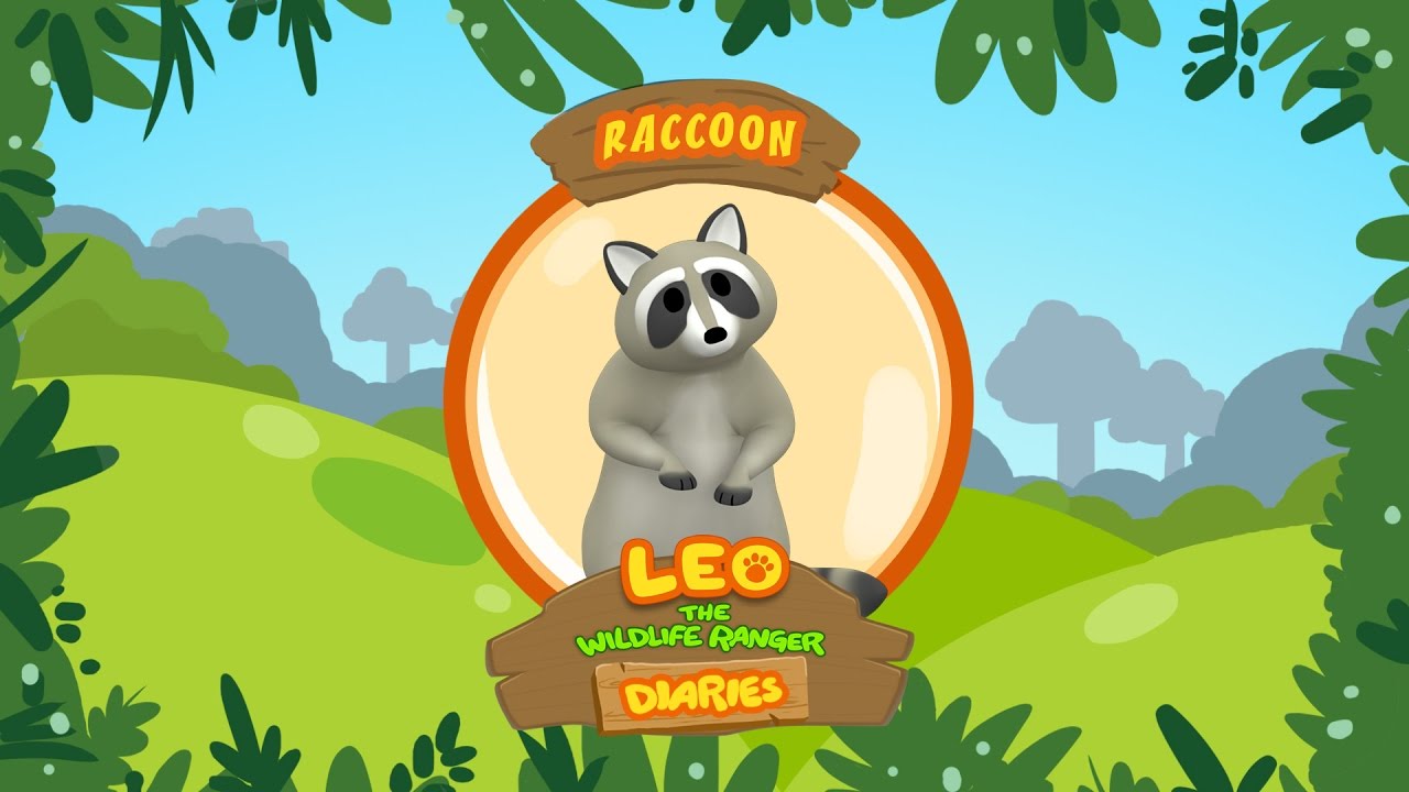 Raccoon - Leo The Wildlife Ranger Animal Diaries | Animal Facts for ...