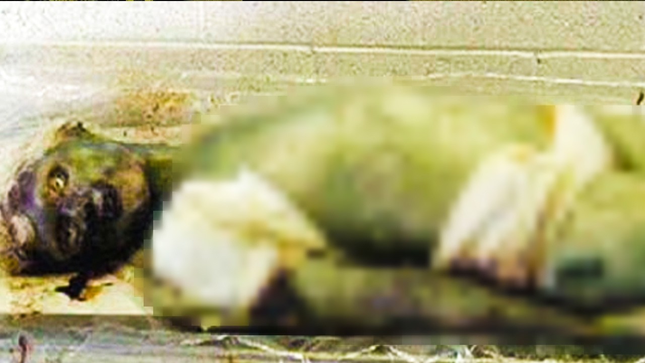 23 Terrifying Things Found In Abandoned Places - YouTube