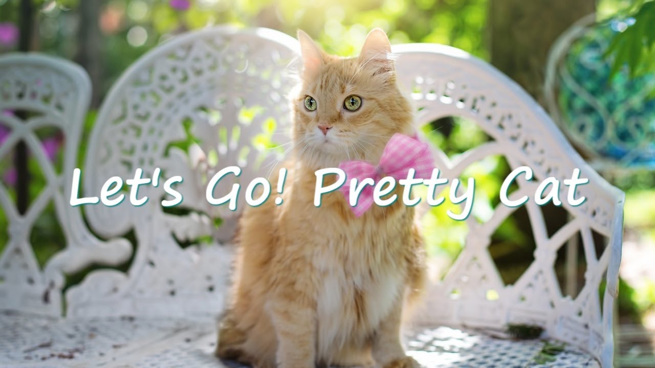 【オリジナル曲】Let's Go! Pretty Cat feat. Ryo, Yuma, Hayden & Jin (Official ...