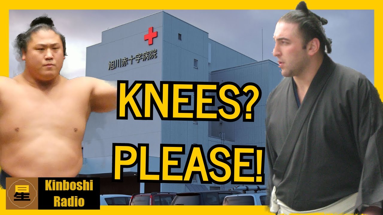 Tochinoshin Yokozuna? Wakatakakage Ozeki? ACLs Injuries in Sumo - YouTube