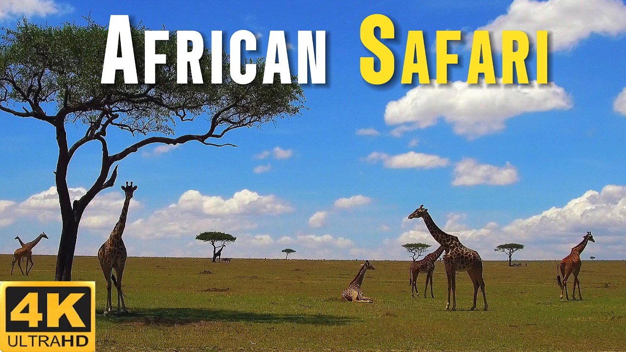 African Safari 4K 60fps - Scenic Wildlife Film With Peaceful Music ...