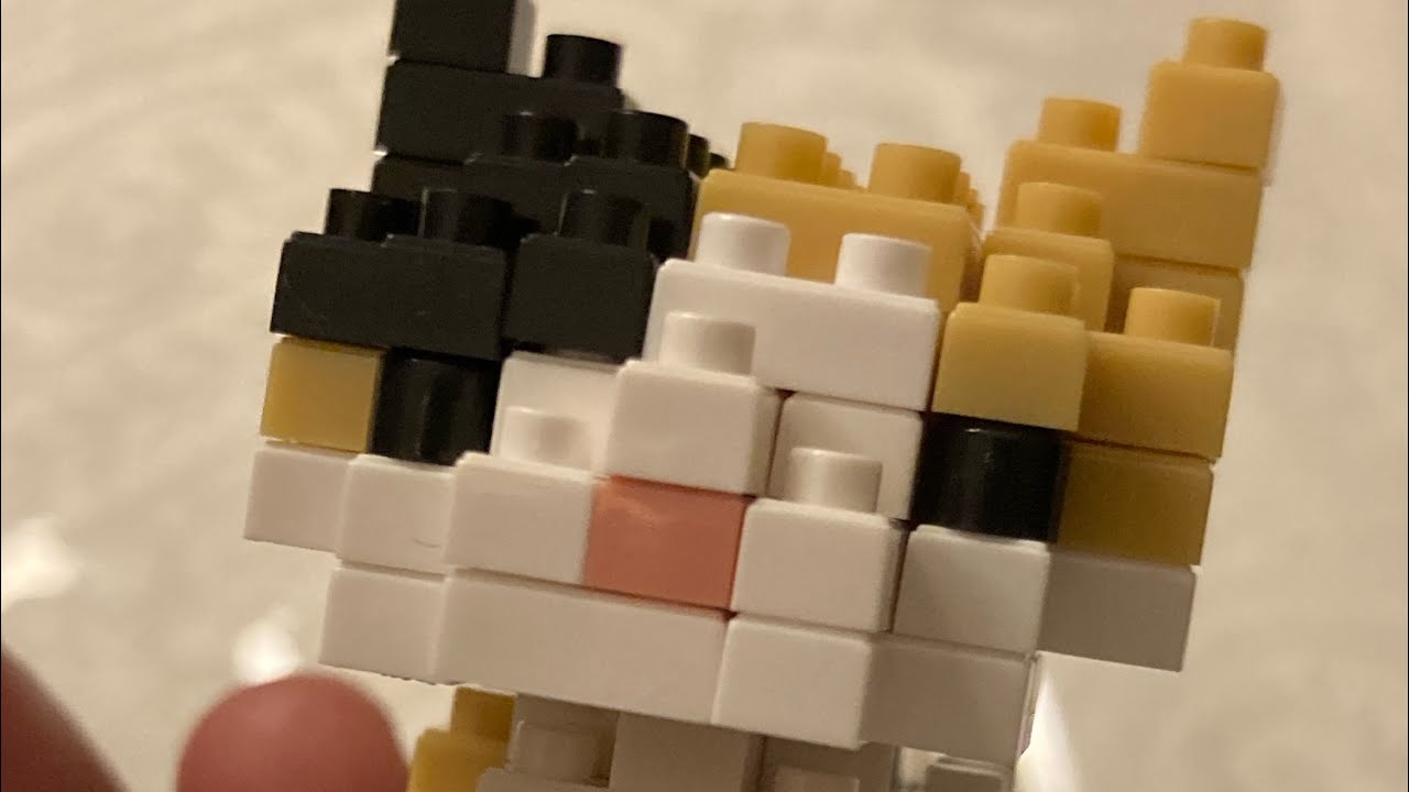 PETIT BLOCK: Calico Cat build - YouTube