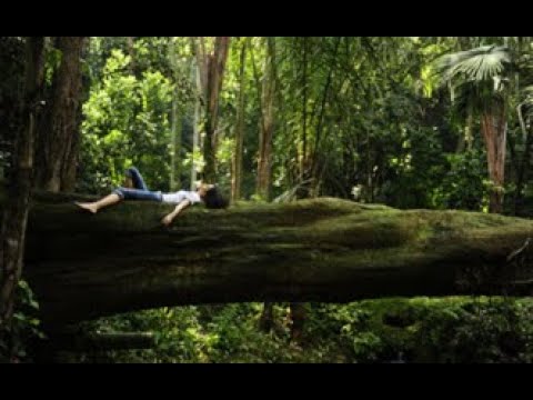 DR ALAN FOGEL Three States of Embodied Self Awareness - YouTube