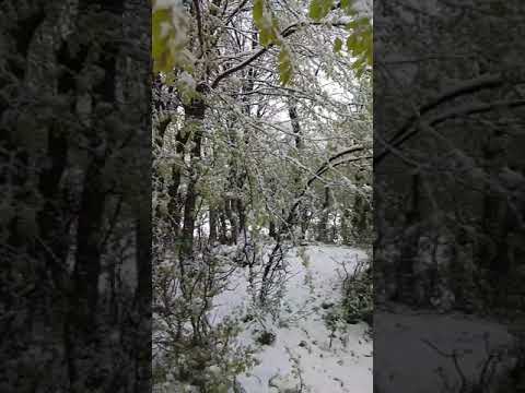 Yardımlı. Şəfəqli kəndi 20.04.2019