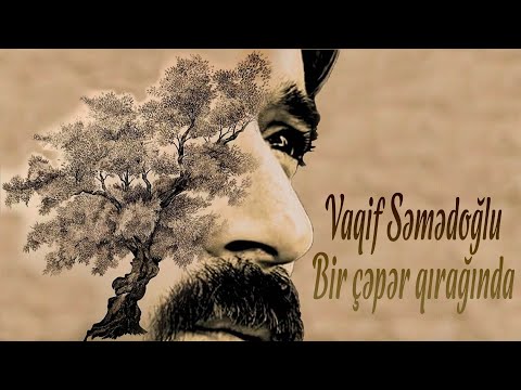 Vaqif Səmədoğlu - Bir çəpər qırağında - Kamran M. YuniS