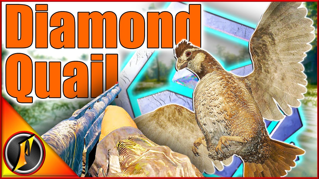Diamond Bobwhite Quail!!! | Another Checklist Trophy | theHunter Call ...