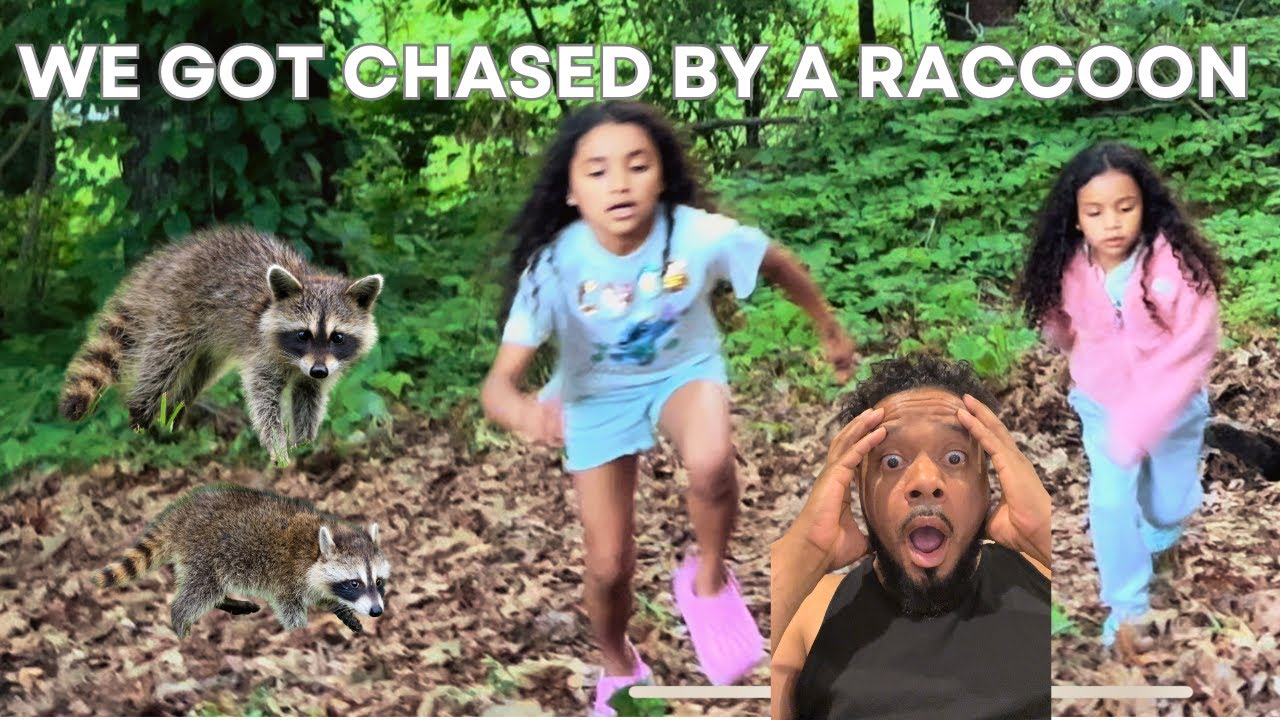 OMG! WE GOT CHASED BY A RACCOON... - YouTube